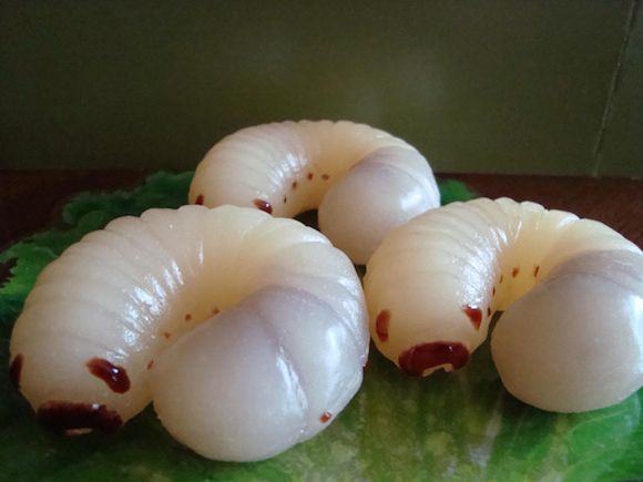 Delicious Looking Larvae Are Actually Realistic Gummy Worms Neatorama
