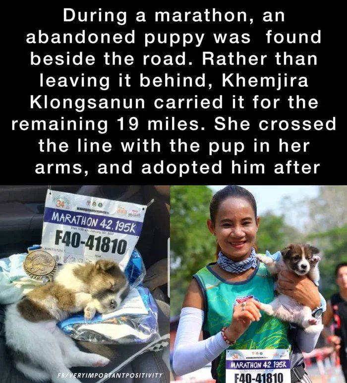 Some wholesome content for you today - Neatorama