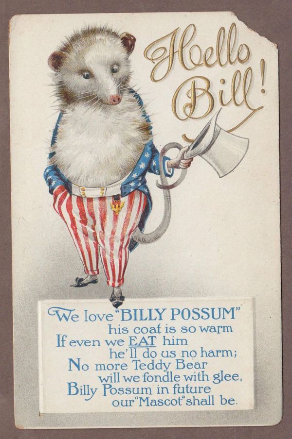 The Story of Billy Possum - Neatorama