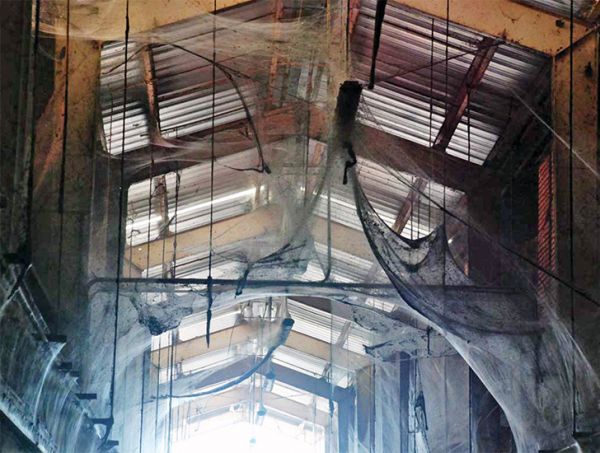 Wastewater Plant In Baltimore Infested With Hundreds Of Millions Of ...