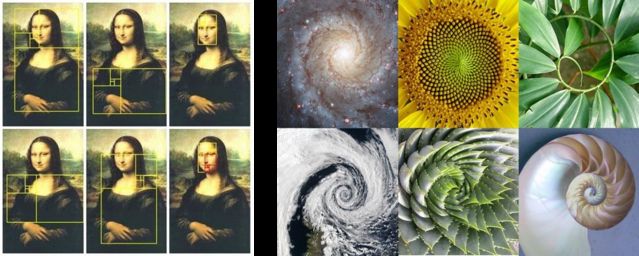 Can Mathematics Explain Beauty Neatorama can-mathematics-explain-beauty-neatorama