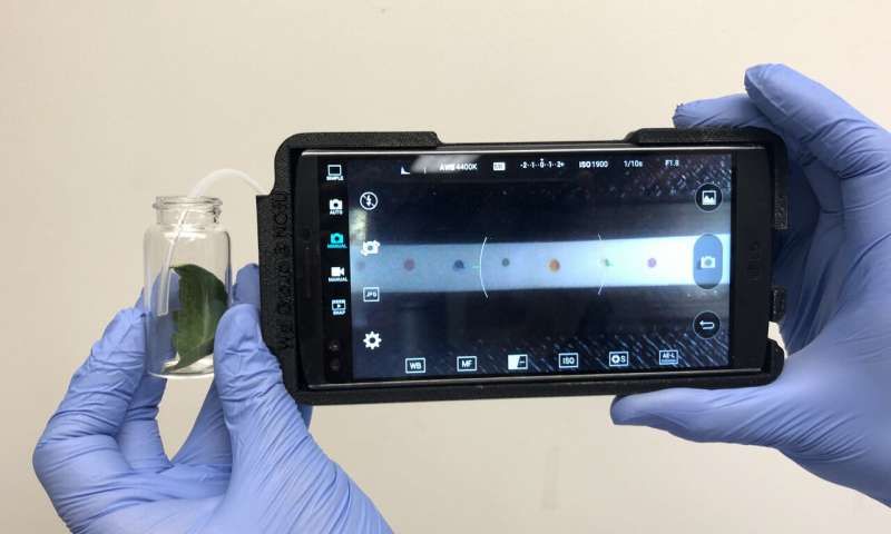 Portable Technology Allows Farmers To Identify Plant Diseases Easily Portable Technology Allows Farmers To Identify Plant Diseases Easily