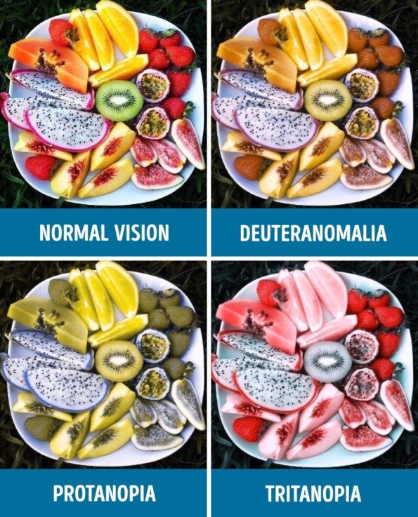 How Things Look Different When You Are Colorblind - Neatorama