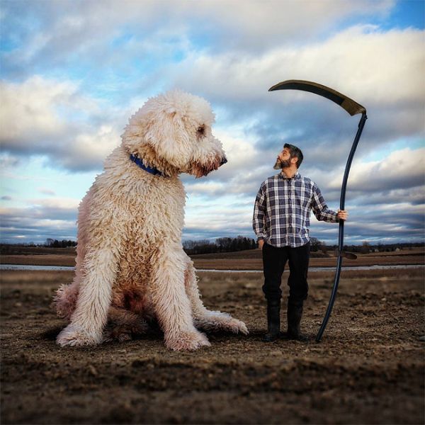 Life With an 8 Foot Tall Dog - Neatorama